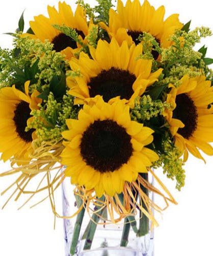 Summer Solstice | Flowers | Sunflowers | Bagoy's Florist | Anchorage (AK)