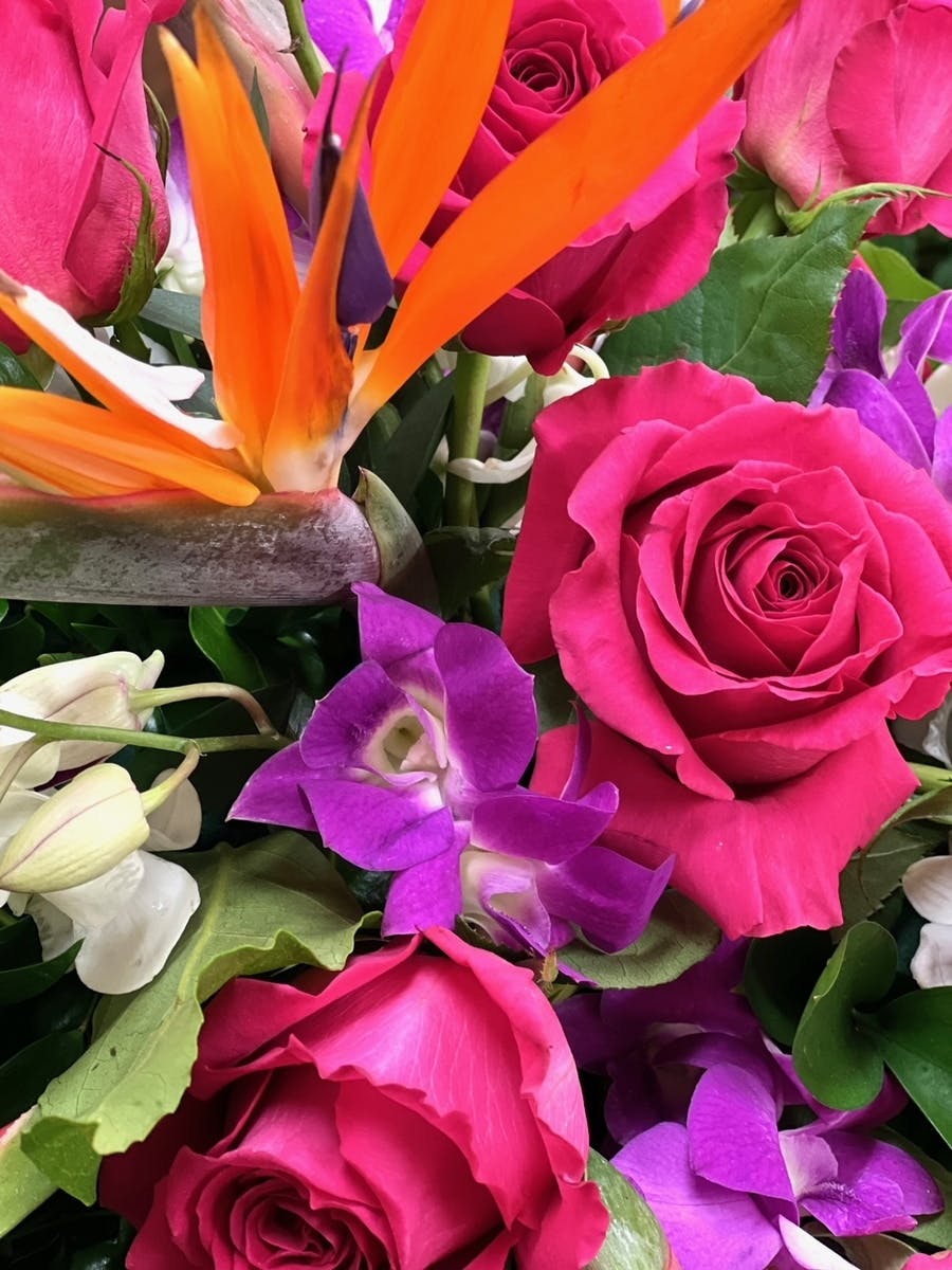 Bagoys Best Roses - Roses - Bagoy's Florist - Anchorage (AK)